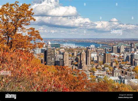 Autumn Colors In Mont Royal Park And View Of The Business District Of The City Of Montreal The