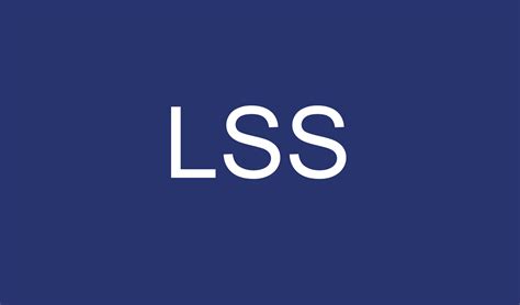 Lss Automation Company