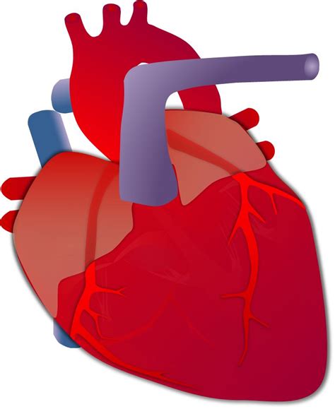 Ermel Nolan Ngo Md Mba On Linkedin My Rendition On The External And