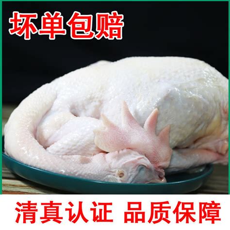 清真三黄鸡白条鸡土鸡农家散养野外走地鸡笨鸡月子鸡谷物喂养【价格 图片 正品 报价】 邮乐网