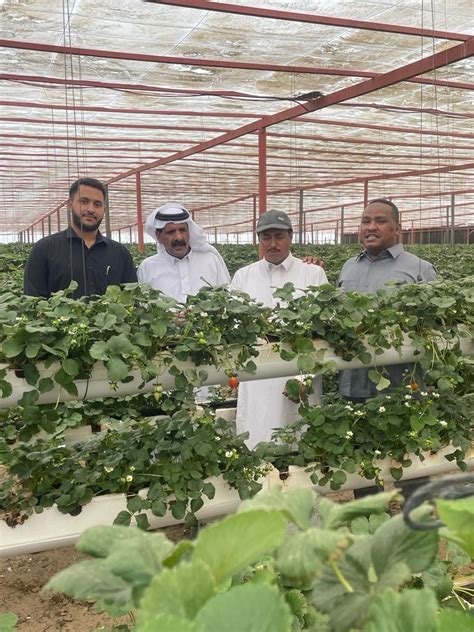 Sardar Ali Khan Posted On Linkedin