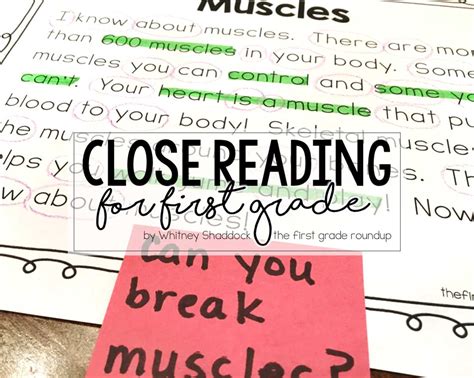 The Art Of Uncovering Insights How To Decode Close Reader Answers