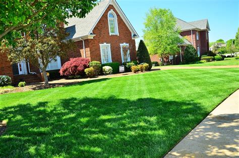 Summer Is Coming What That Means For Your Lawn Interior Design