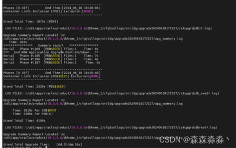 Oracle12c到19c Adg搭建（五）dg搭建后进行切换19c进行数据字典升级演练切换 19c Csdn博客