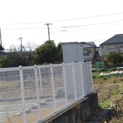 ジョウビタキ 太一パパです