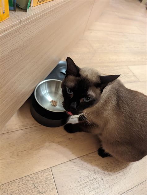 Taking Care My Brothers Cutie Rnotmycat