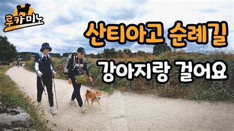 댕댕아 산티아고 순례길로 산책 갈까 🇪🇸 Youtube