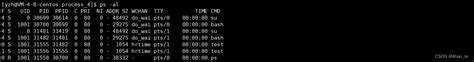 【linux】进程优先级（pri，ni）和进程切换任务中的pri Csdn博客