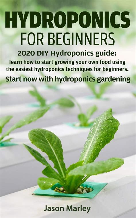 Hydroponics For Beginners 2020 Diy Hydroponics Guide Learn How To