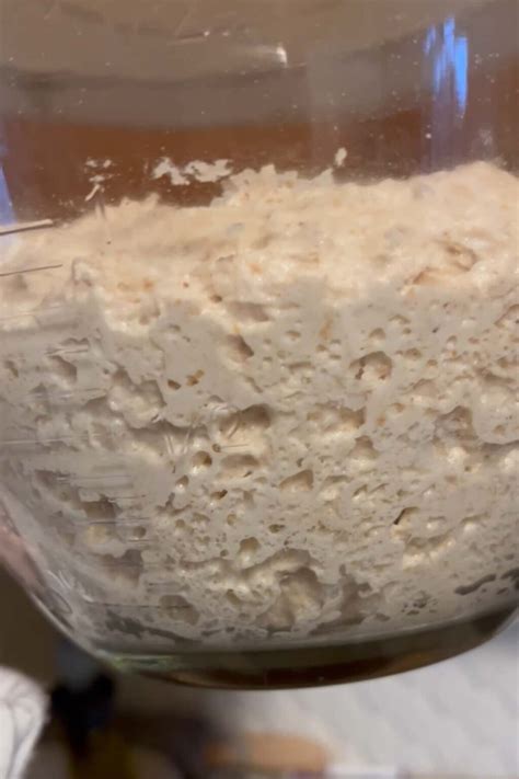 Sourdough Bulk Fermentation Guide Its Easier Than You Think