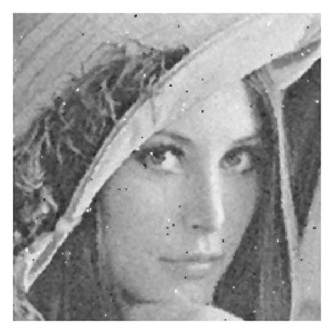 A Part Of The Original Lena Image B Image Corrupted With Mixed