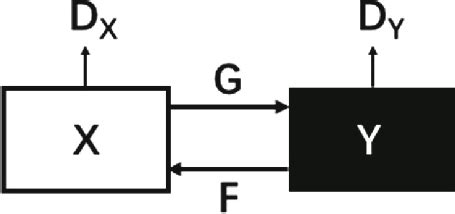 The Network Architecture Of CycleGAN Download Scientific Diagram