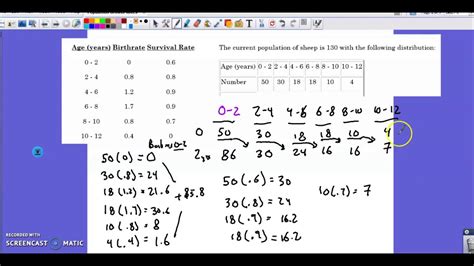 Population Growth With Matrices Youtube