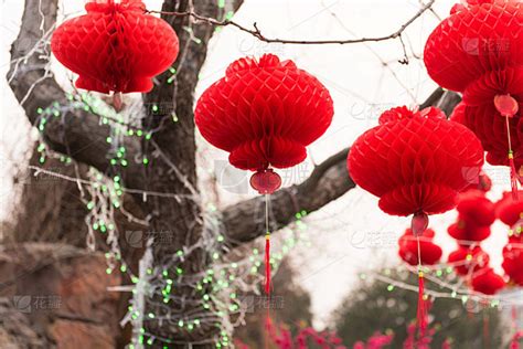 在中国，树上挂着红灯笼。