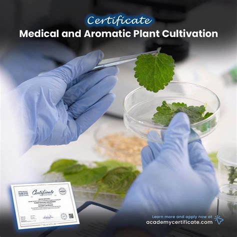 Medical And Aromatic Plant Cultivation Certificate Academy Certificate