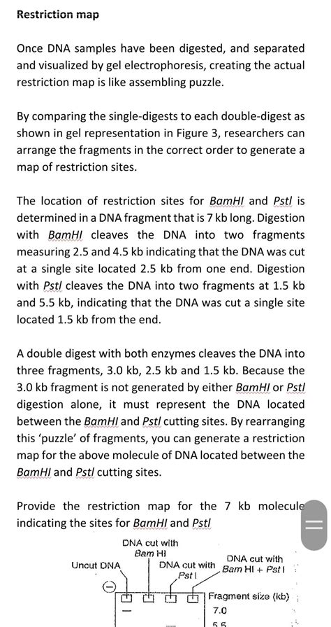 Solved Restriction Map Once DNA Samples Have Been Digested Chegg