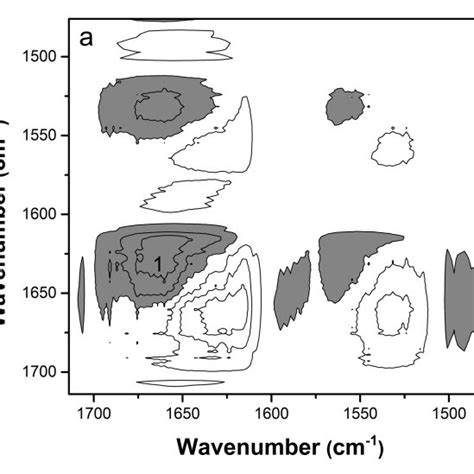 Amide I Band Positions Assigned To Varied Protein Secondary Structure Download Table