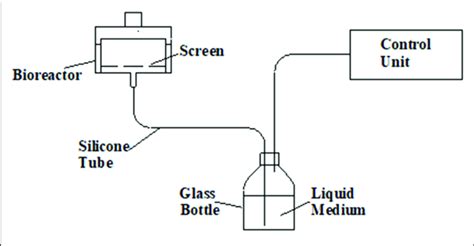 Temporary Immersion Bioreactor Model With The Liquid Medium Separated