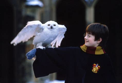 Harry Potter And The Sorcerers Stone Film By Columbus 2001