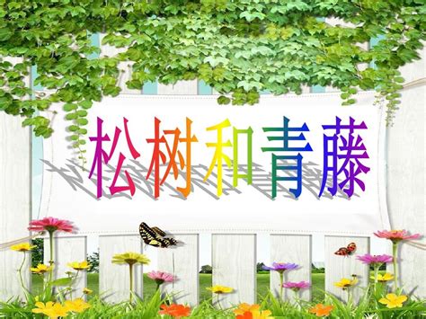 2015春湘教版语文二下《松树和青藤》ppt课件word文档在线阅读与下载无忧文档