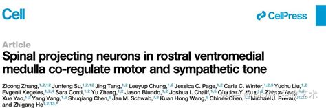 Cell 何志刚团队发现同时调控躯体运动和自主神经系统的脑干脊髓通路 知乎