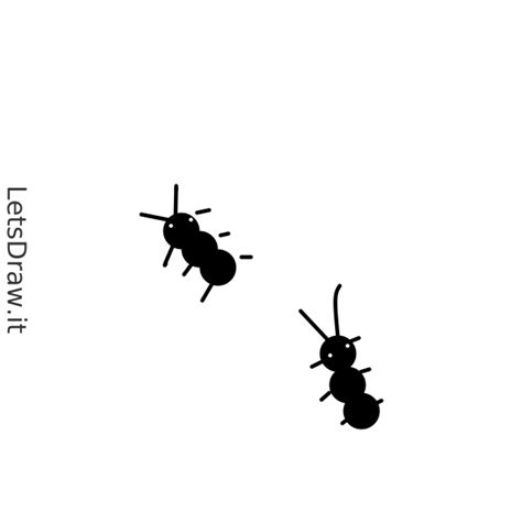 How To Draw Bug Hs Fxk U Png LetsDrawIt