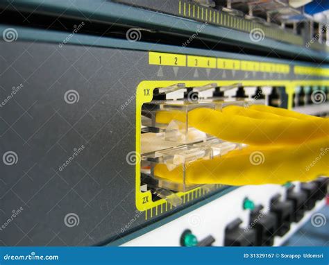 Ethernet Rj Blue Lan Plugs Stock Photography CartoonDealer Com