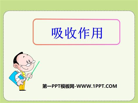 吸收作用PPT 北师大版七年级生物上册