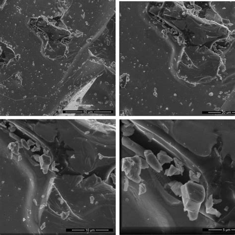 X Ray Diffraction Analysis Xrd Of Nickel Boride Ni2b Nps Download Scientific Diagram