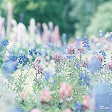 Jayde Rose Resilientrosegirl Profile Pinterest