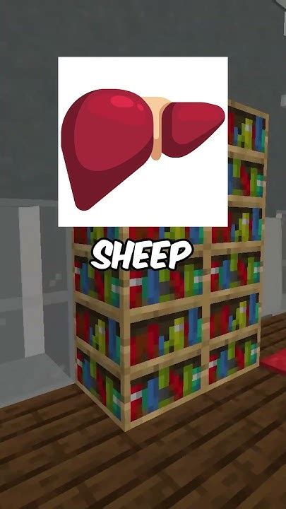 Explaining Every Scp 53 Youtube