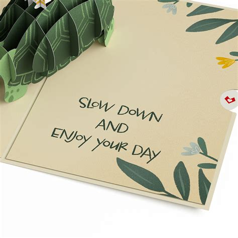 Shell Ebrate Birthday Turtle Pop Up Card Lovepop