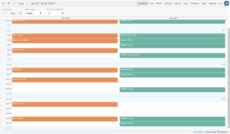 How Are You Using The New Expanded Scheduler View Teamup Blog