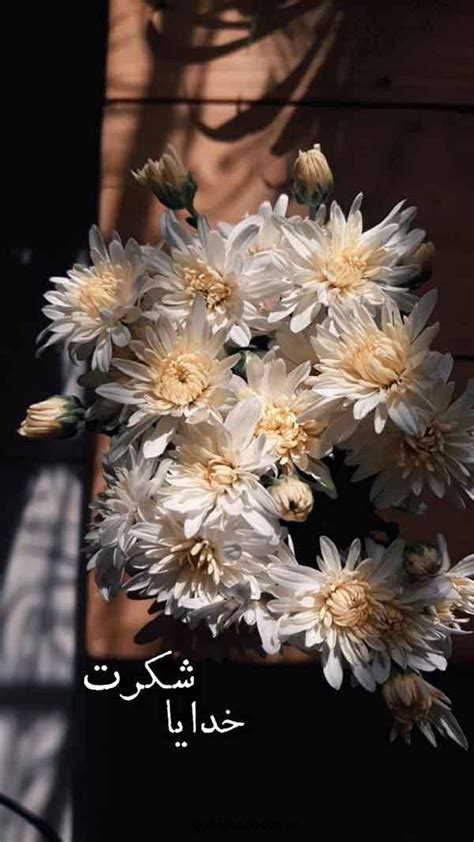 عکس پروفایل خدایا شکرت جدید 2024؛ برای استوری و ایجاد حال مثبت در فضای