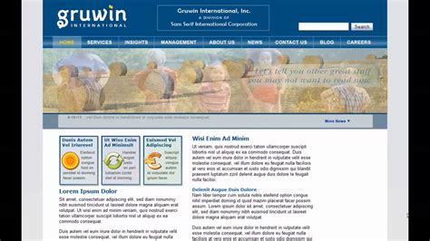 Website Design Tips Adding Clutter Doesn T Help Netpalouse Web Design Services