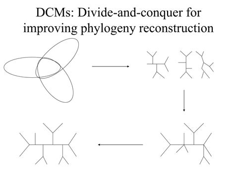 Ppt Algorithmic Research In Phylogeny Reconstruction Powerpoint
