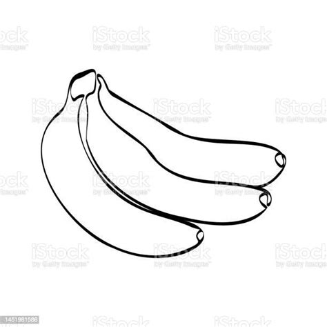 연속 한 줄 그리기 바나나 벡터 그림입니다 흰색 바탕에 검은색 라인 아트 흰색 배경에 격리된 만화 바나나 비건 개념 0명에 대한 스톡 벡터 아트 및 기타 이미지 Istock