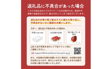【先行受付 2025年5月下旬～6月下旬発送予定】房州びわ露地栽培 2l以上12ヶ入り 1箱 Mi0038 0002【びわ フルーツ 旬