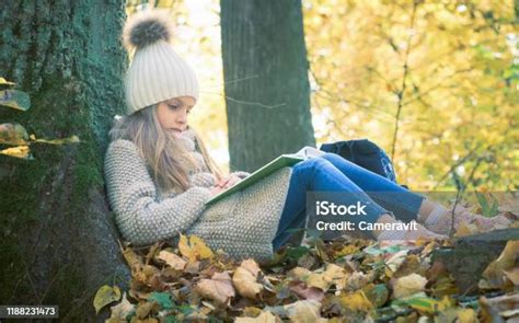 공공 공원에서 나무 아래 그녀의 무릎에 책과 함께 앉아 귀여운 어린 소녀 가을 철 화창한 날씨에 노란 잎으로 덮여 땅에 신중하게 앉아 소녀 10월에 대한 스톡 사진 및 기타