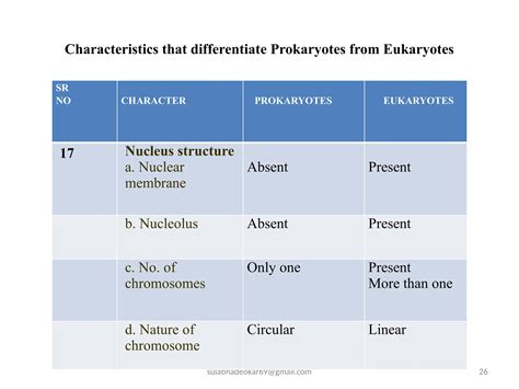 Prokaryotic Cell Vs Eukaryotic Cell Understanding The Differencespptx