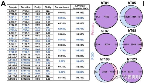 第22周 Pdac Organoids 知乎