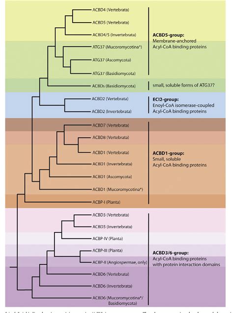 Figure 1 From The Diversity Of Acbd Proteins From Lipid Binding To