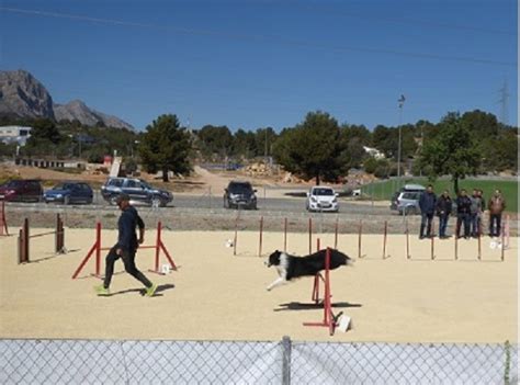 17 Pista Canina Agility Portal De La Naturaleza De La Nucía