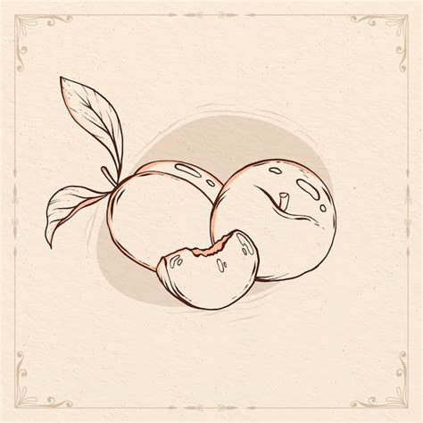 Peach Line Art Images Free Download On Freepik