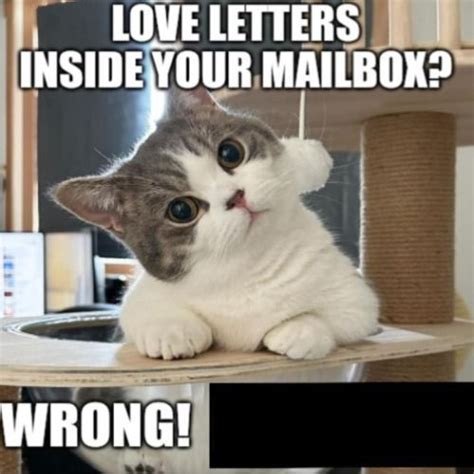 Love Letters Inside Your Mailbox Wrong Blank Template Imgflip