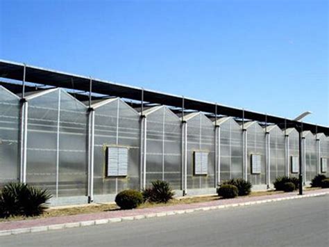 温室大棚建设的注意事项和维护事项有哪些 智能温室大棚 智能玻璃温室 无土栽培设备 大棚厂家 青州市瑞恒温室工程有限公司