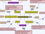 Epistemología y Ciencia Mapa mental Mindomo