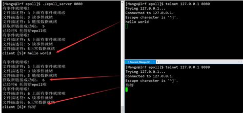 【linux】io多路转接 epoll linux 系统 epoll 系统调用函数有哪些 csdn博客