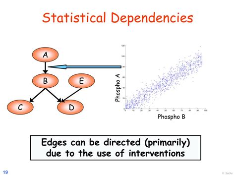 Ppt Bayesian Network Models Of Biological Signaling Pathways Powerpoint Presentation Id 3085086