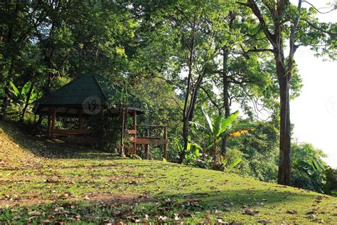Travel To Doi Suthep National Park Chiang Mai Thailand The View On